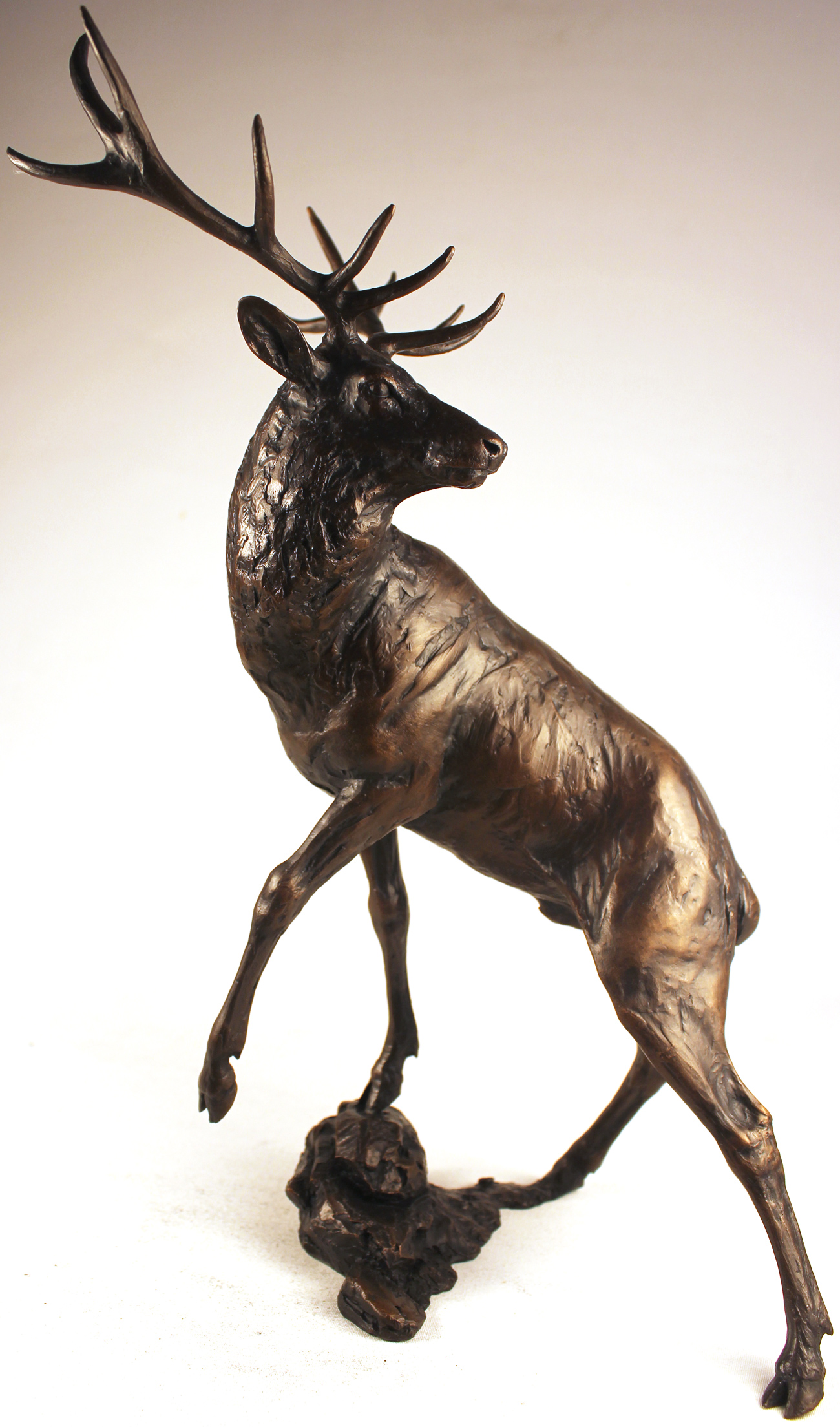 Michael Simpson, bronze, Majesty