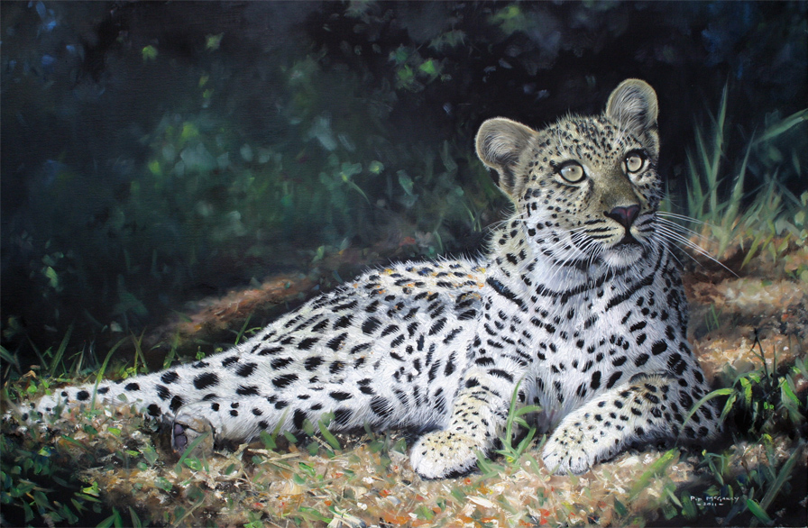Pip McGarry, original painting, Reclining Leopard