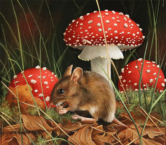 Carl Whitfield, original painting, Mouse and Toadstool