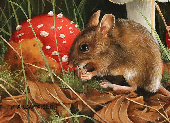 Carl Whitfield, original painting, Mouse and Toadstool