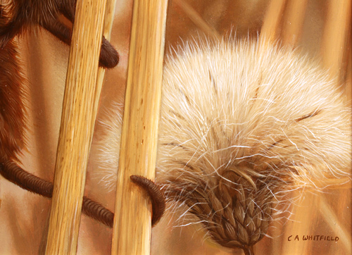 Carl Whitfield, original painting, Two Field Mice