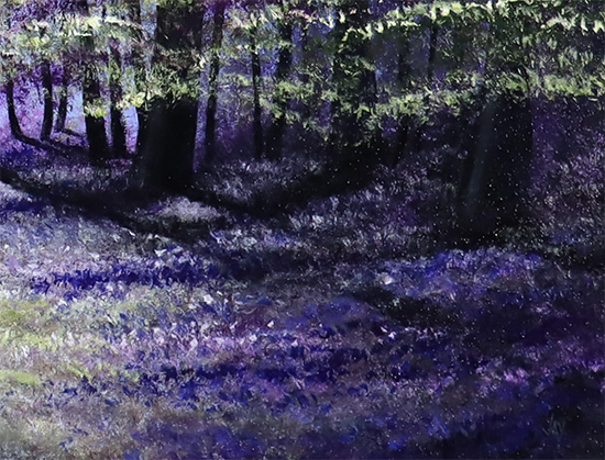 Jay Nottingham, original painting, Bluebell Wood