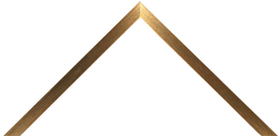 Brushed Gold Slip, Picture Frame at York Fine Arts